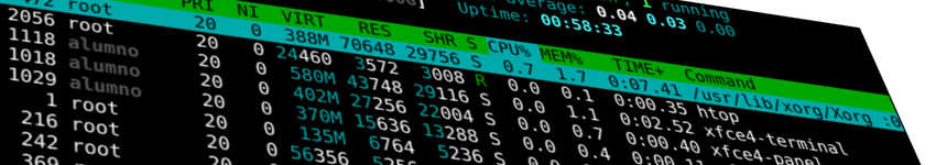 Procesos en linux. Información y administración